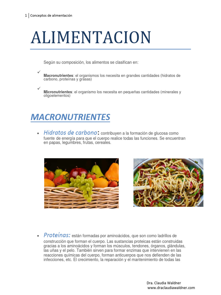 Conceptos Alimentación | PDF | gordo | Vitamina