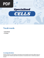 Specialised Animal Cells - Living Organisms - KS3 Biology - BBC ...