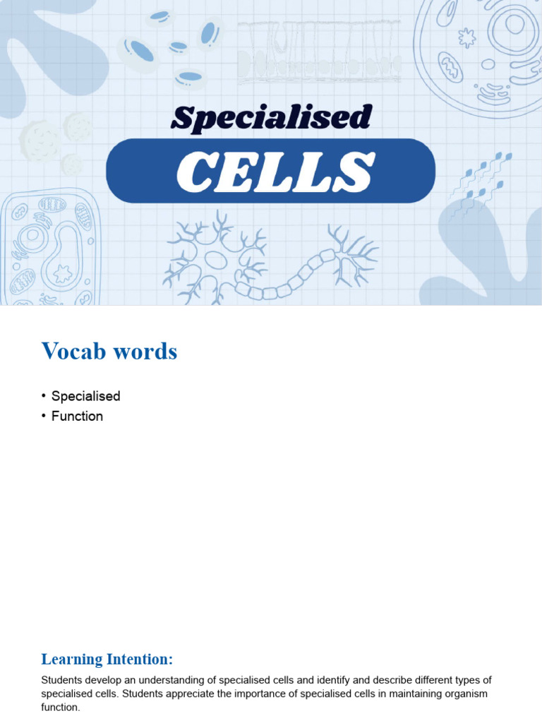 1. Specialised Cells PowerPoint | PDF | Cell (Biology) | Human Body