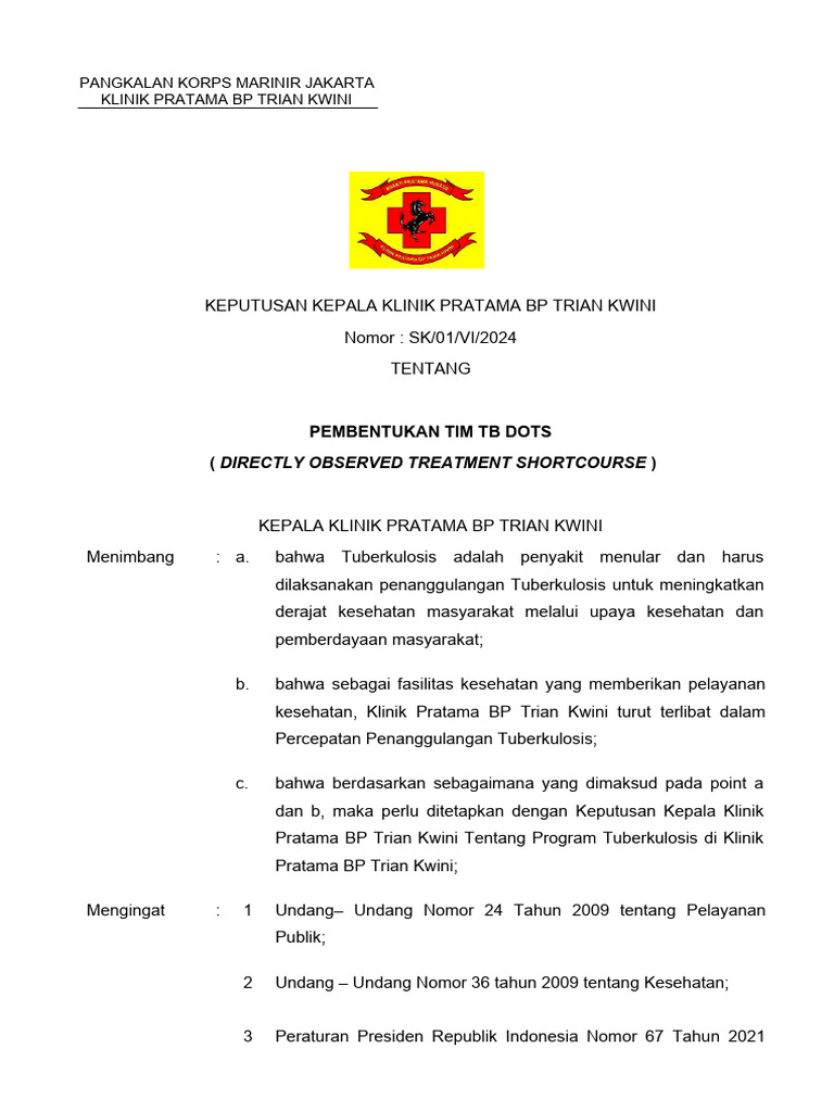 SK TIM TB DOT's 2024 | PDF