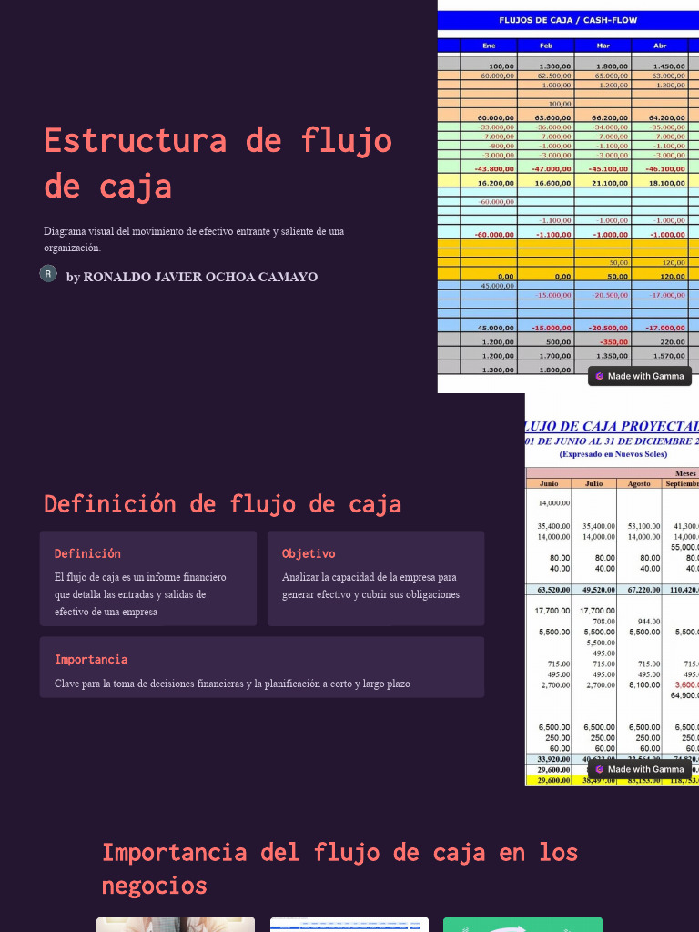 Estructura-de-flujo-de-caja | Descargar gratis PDF | Planificación | Flujo de efectivo