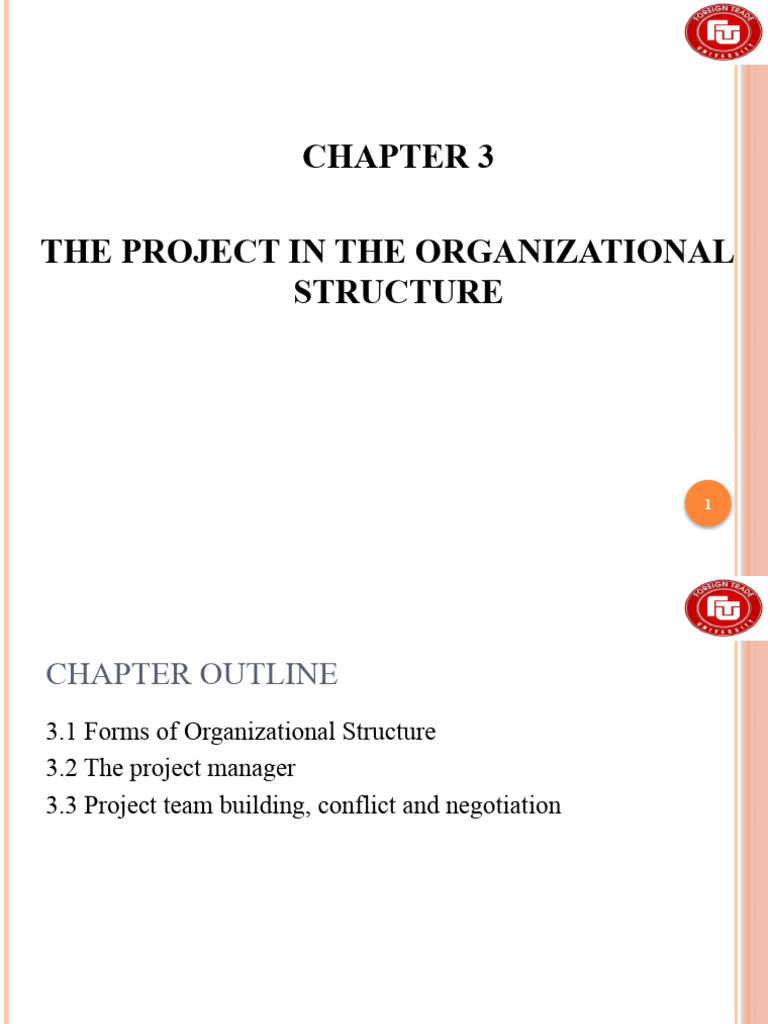 Chapter 3_ The project in organizational structure | PDF | Leadership ...