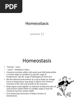 Homeostasis Notes Grade 12 | PDF | Homeostasis | Kidney