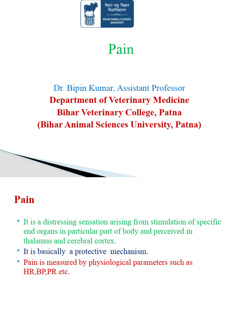 Pain | PDF