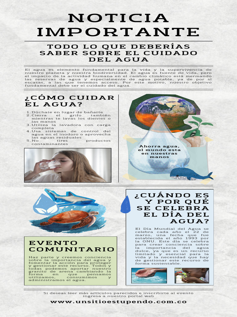 Infografía Periódico Noticia Dia Del Agua Collage Gris - 20240409 ...