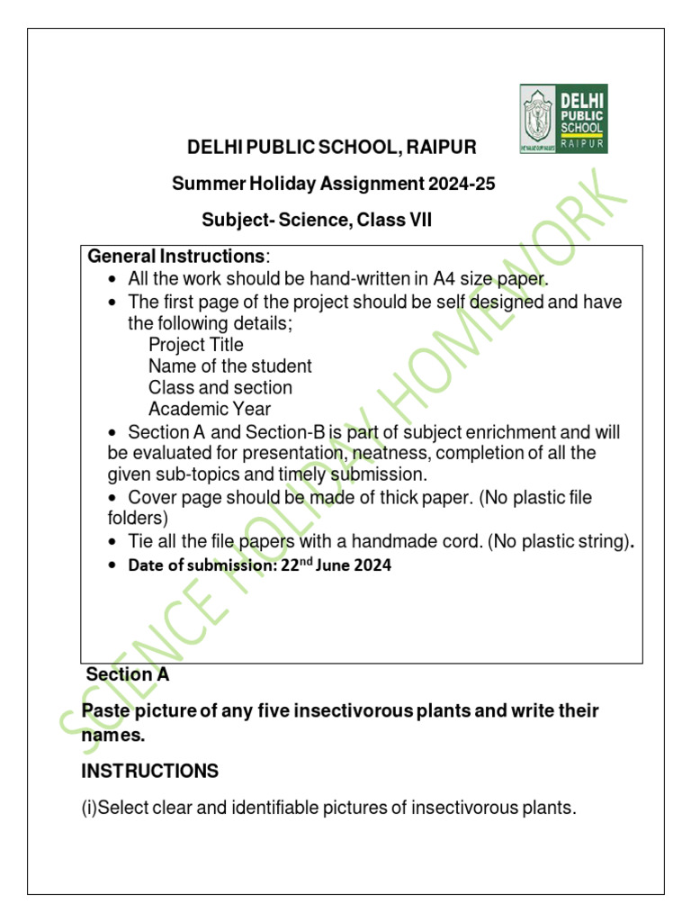 7th Summer Holiday H.W 2024-25 | PDF | Art