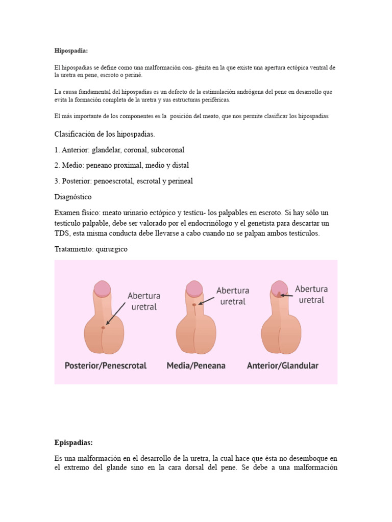 Expo Apsr | PDF | Síndrome de Down | El embarazo
