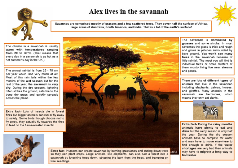 Savannah | PDF | Savanna | Earth Sciences