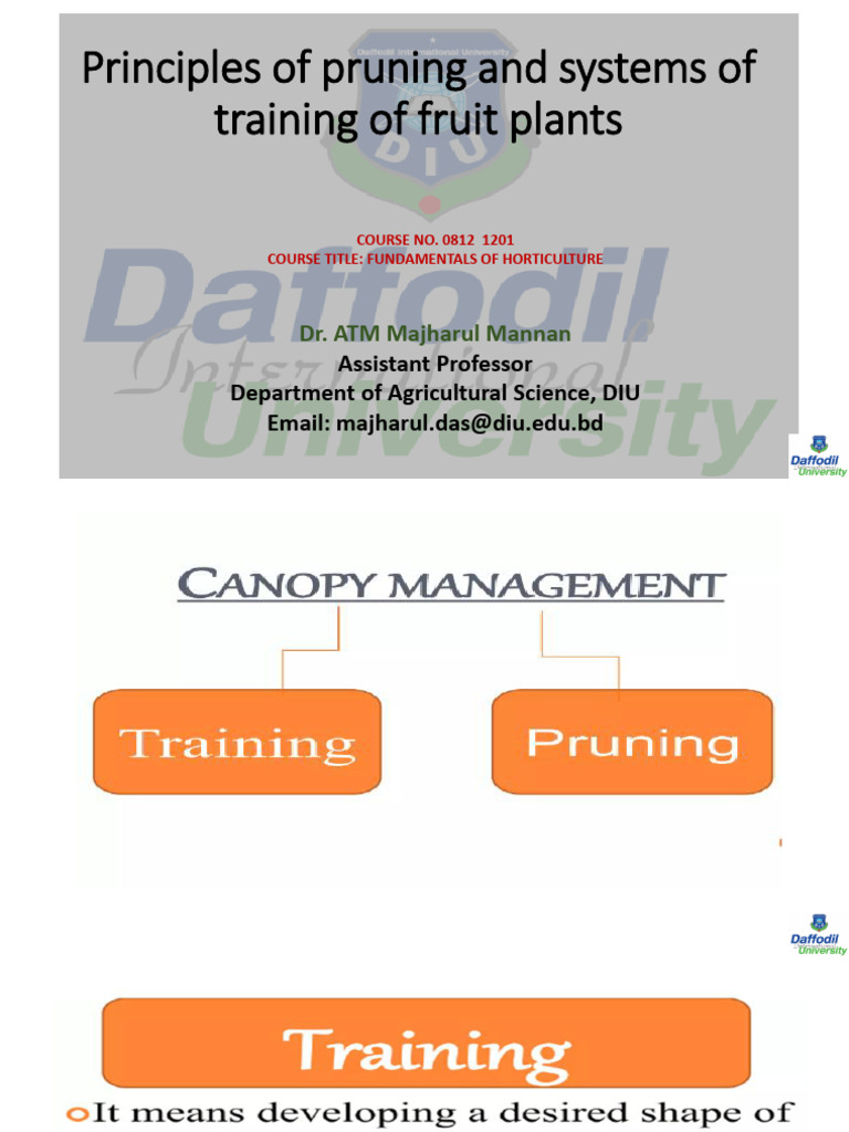 Pruning and Training Principles in Horticulture | PDF