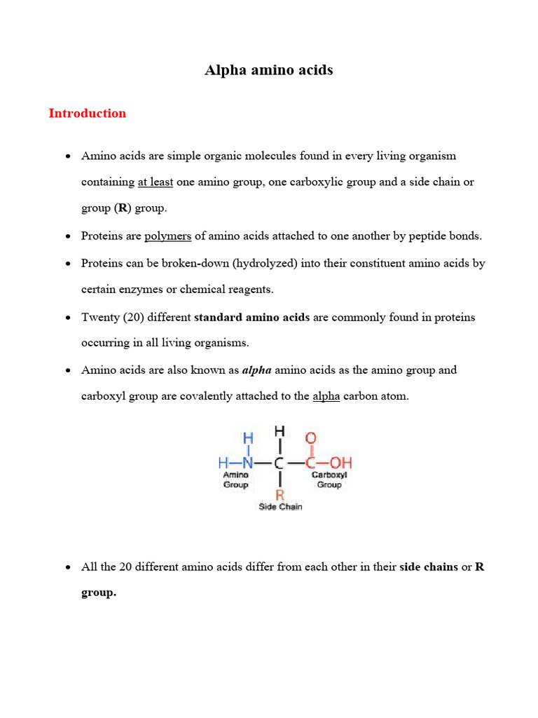 Alpha Amino Acids | Download Free PDF | Amino Acid | Biochemistry