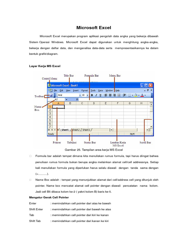 Excel 2003 | PDF