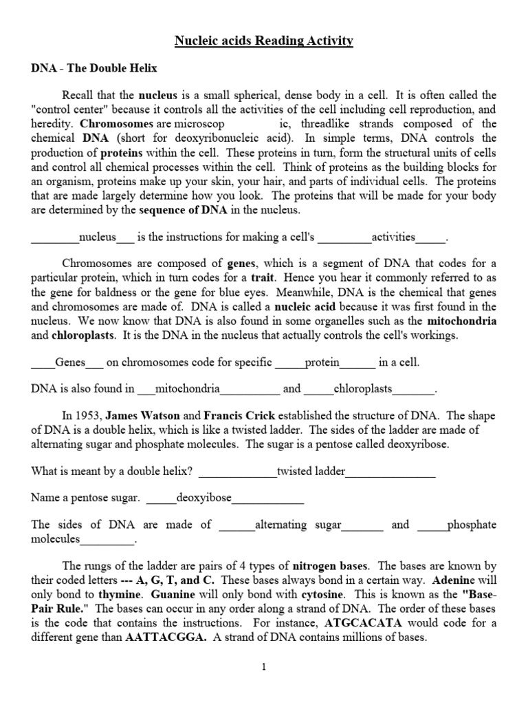 1 Nucleic Acids Reading Activity | PDF | Dna | Rna