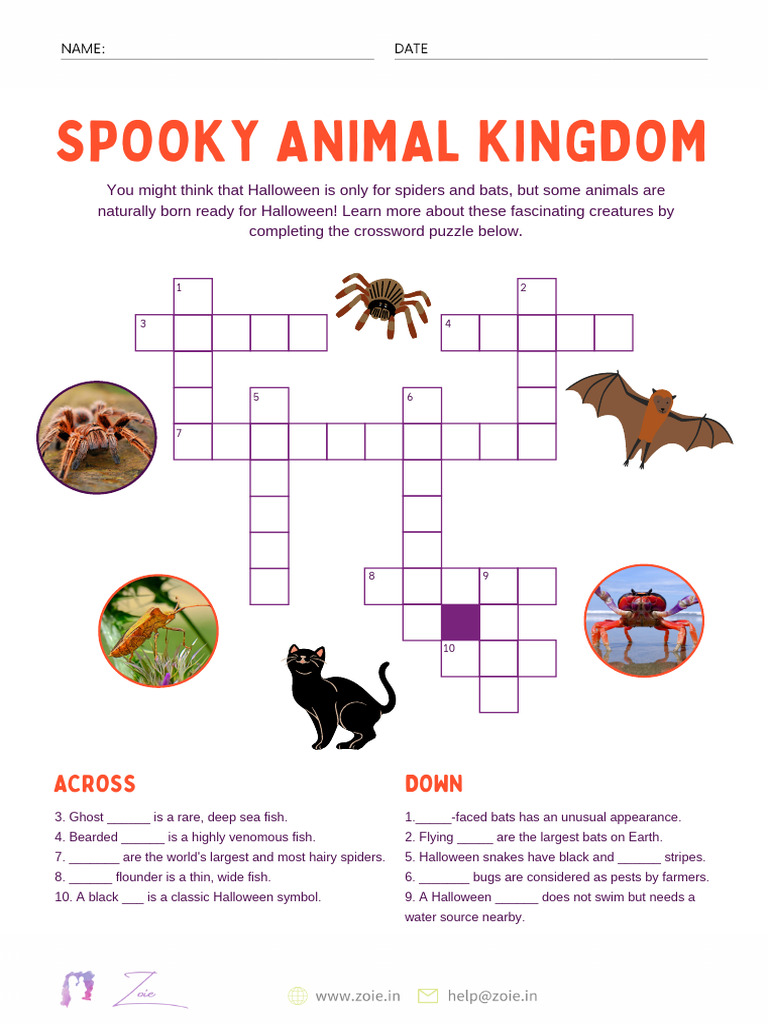 7A Animal Kingdom | PDF | Amphibian | Reptile