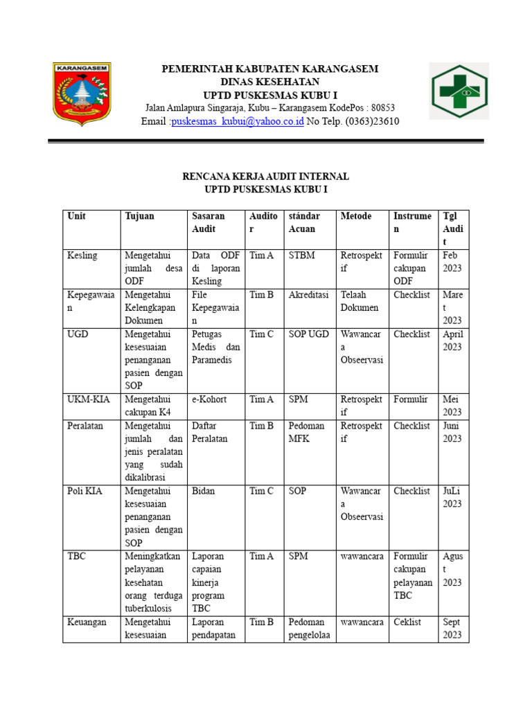 Rencana Kerja Audit Internal Puskesmas | PDF