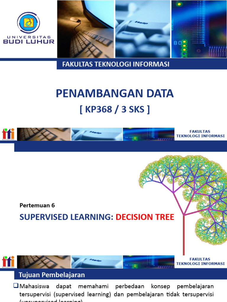 DM - P6 - Supervised Learning (Decision Tree) | PDF