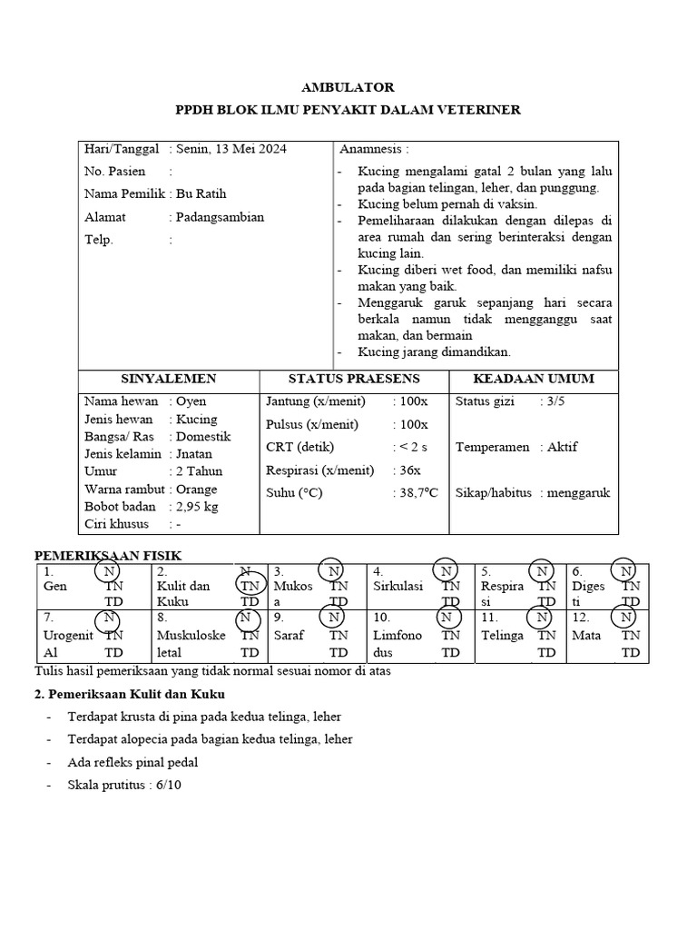 Ambulator Oyen | PDF | Kesehatan Holistik