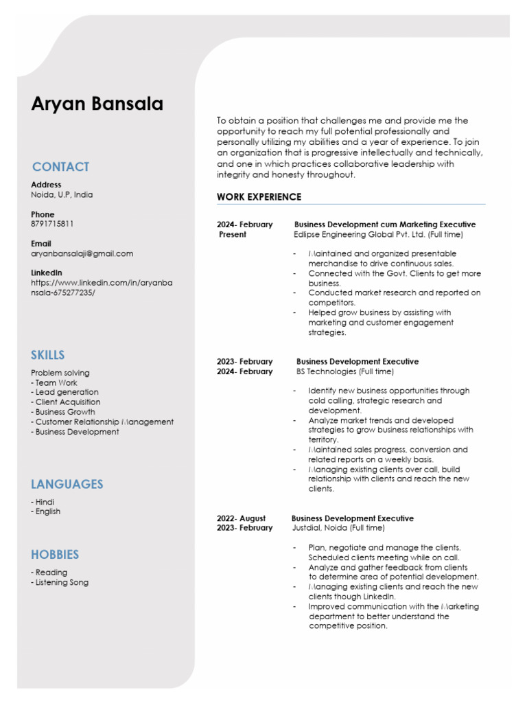 Business Development Resume | PDF | Linked In | Computing