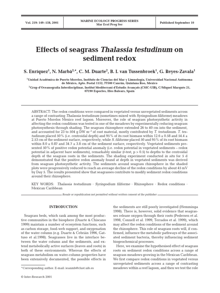 Plantas Redox | PDF | Earth Sciences | Oceanography