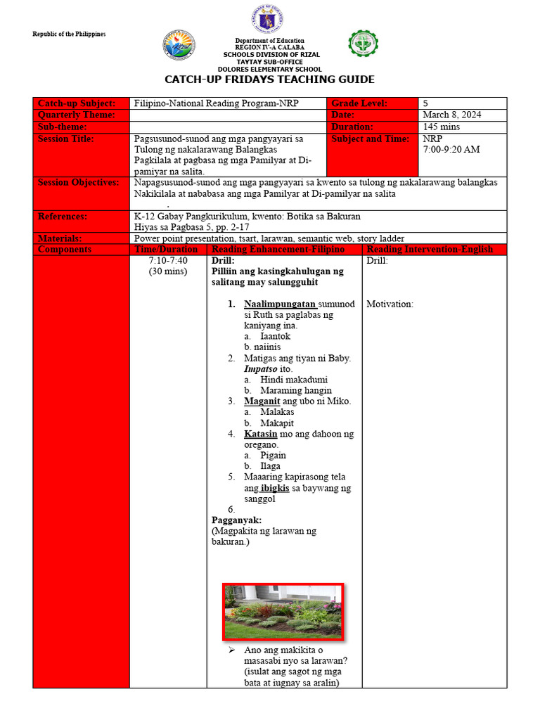 Catch Up Friday Lesson Plan | PDF