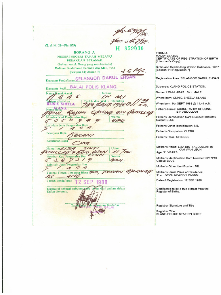 Birth Certificate - Andy Choong (With English Translation) | PDF