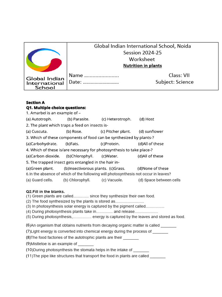 Nutrition in Plants- Worksheet | Download Free PDF | Plants | Nutrition