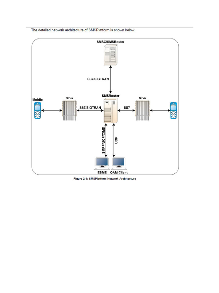 SMSPlatform Network Architecture | PDF