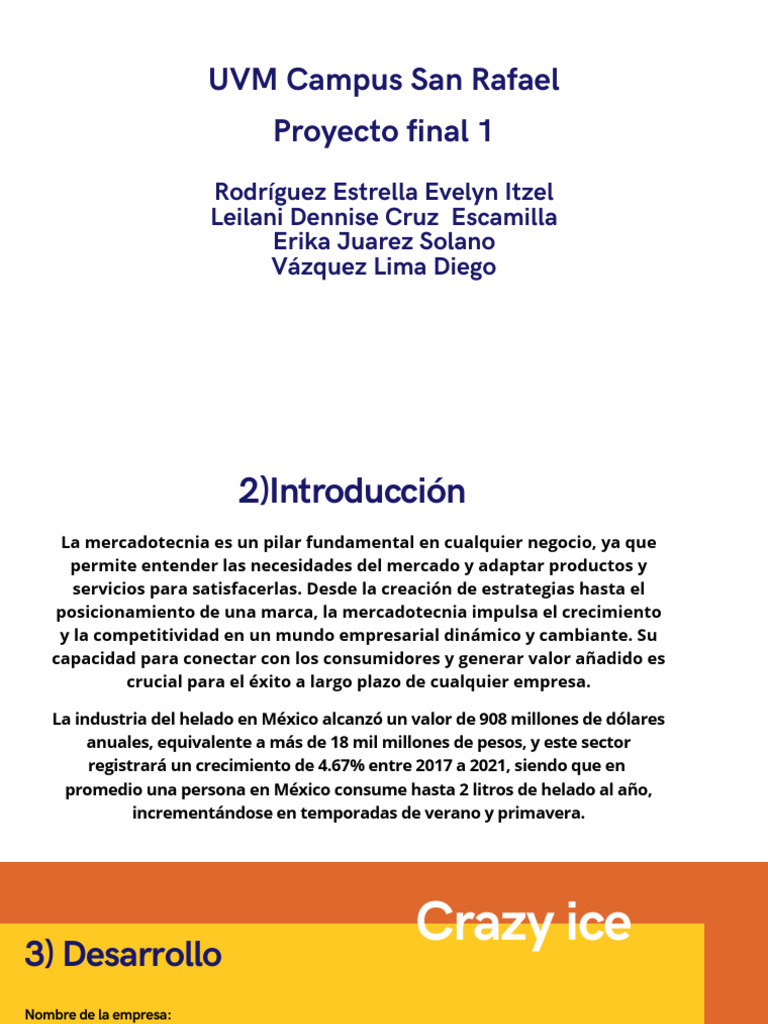 Proyecto Final 1 | PDF | Marketing | Producto (Negocio)