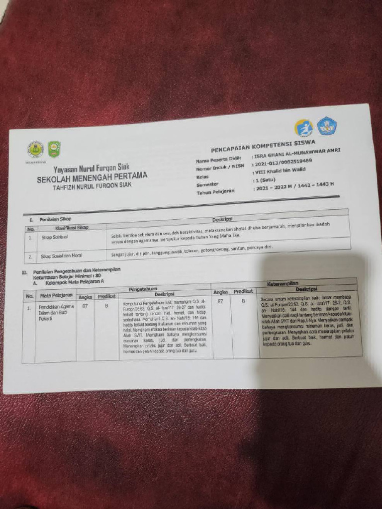 Raport Kls 8 Sem 1 | PDF