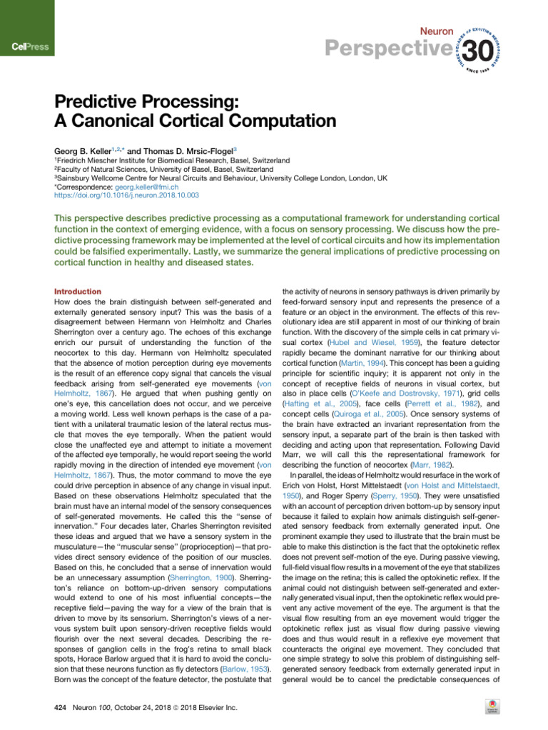 Predictive Processing A Canonical Cortical Computation Pdf Cerebral