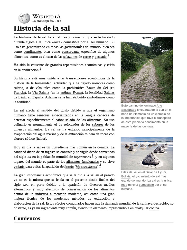 Historia_de_la_sal | PDF | sal | Salsa