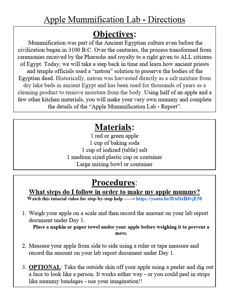Apple Mummification Lab - Directions | Download Free PDF | Ancient ...