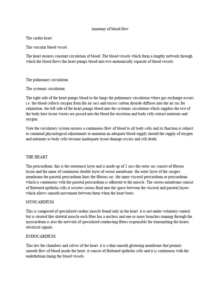 Anatomy of Blood Flow | PDF | Heart Valve | Ventricle (Heart)