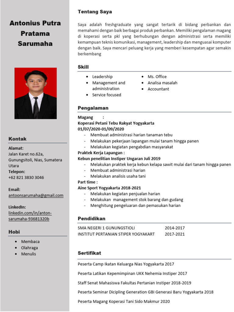 Profil Antonius Putra Sarumaha: Freshgraduate Berbakat di Bidang Perbankan | PDF