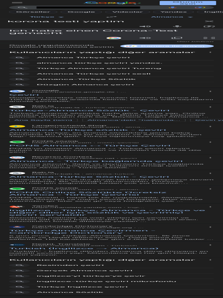 Almanca Çeviri - Google'da Ara | PDF