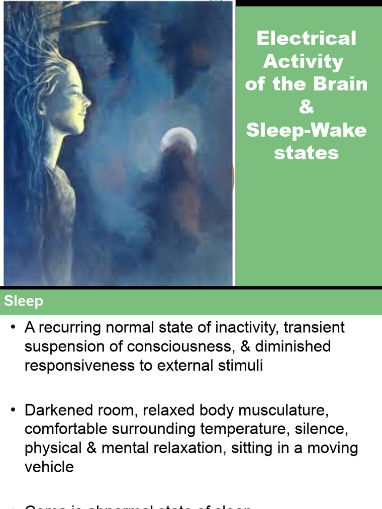 Sleep Eeg Pdf Sleep Rapid Eye Movement Sleep