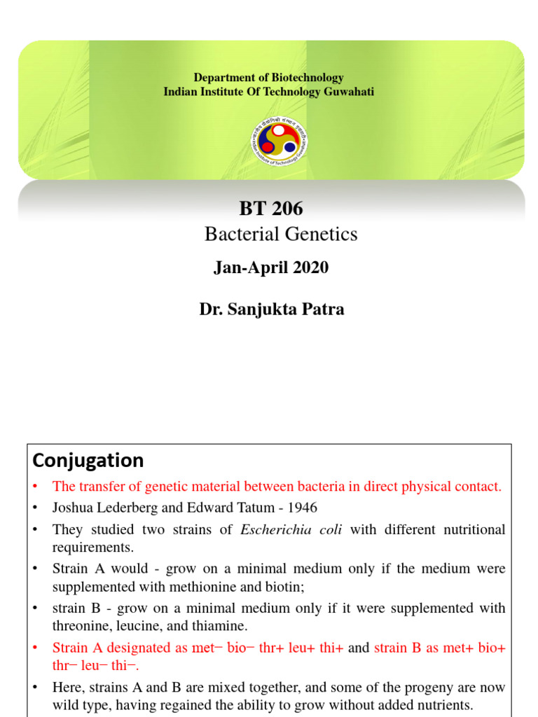 Bacterial Genetics Download Free Pdf Plasmid Bacteriophage