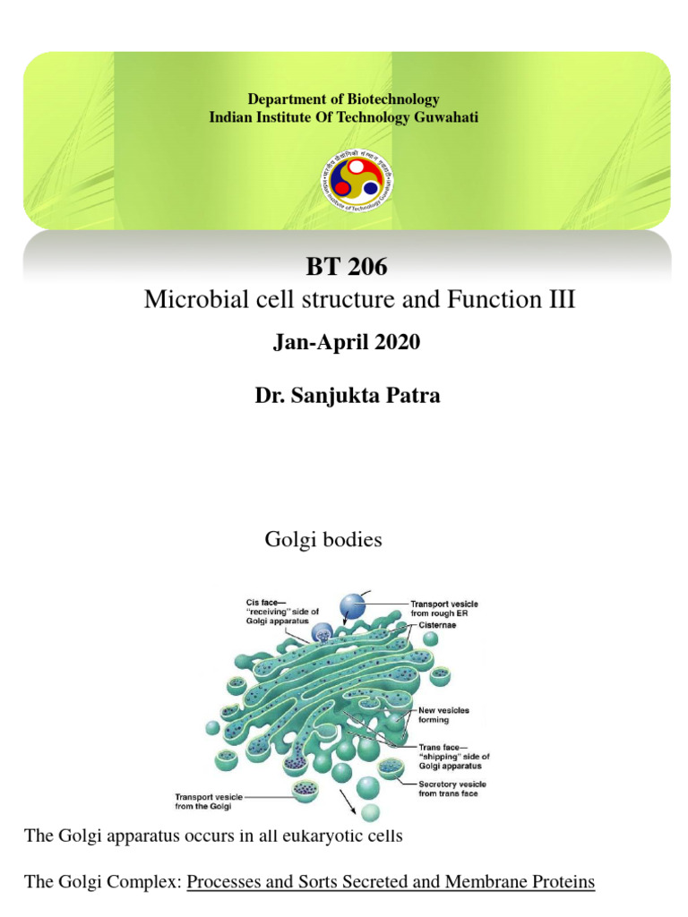 Microbial Cell Structure and Function III | PDF | Lysosome | Cell (Biology)