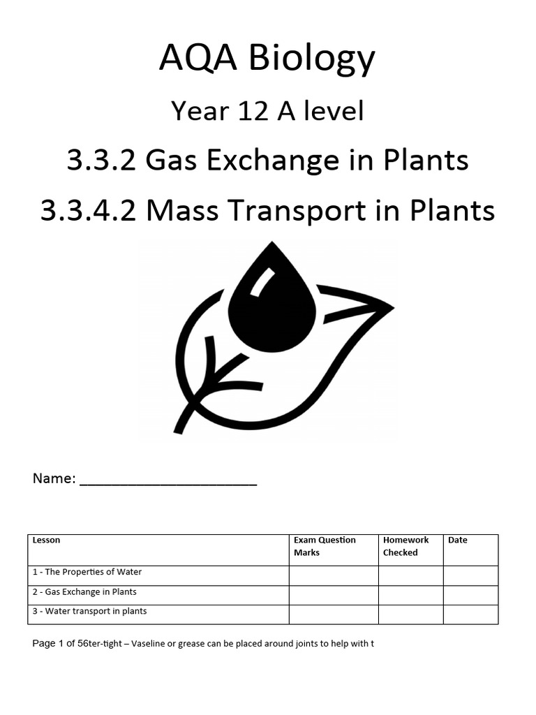 Y12 Plant Transport Booklet | PDF | Stoma | Leaf