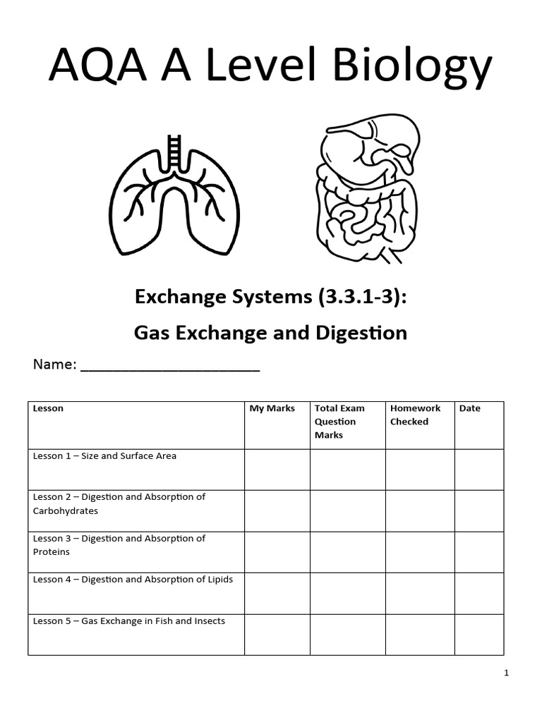Digestion and Gas Exchange Booklet | PDF | Digestion | Hydrolysis