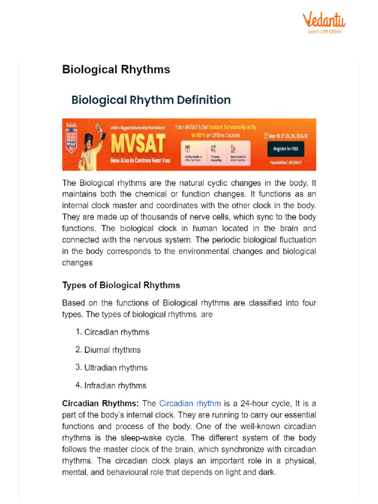 Biological Rhythms | PDF