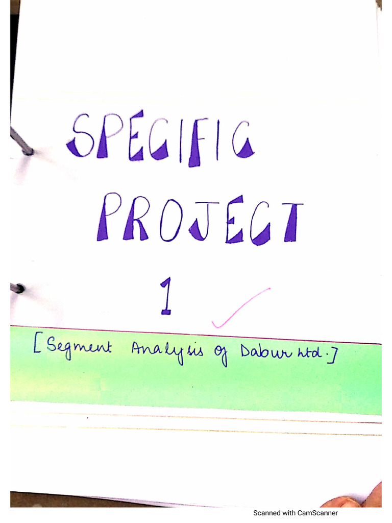 Specific Project | PDF