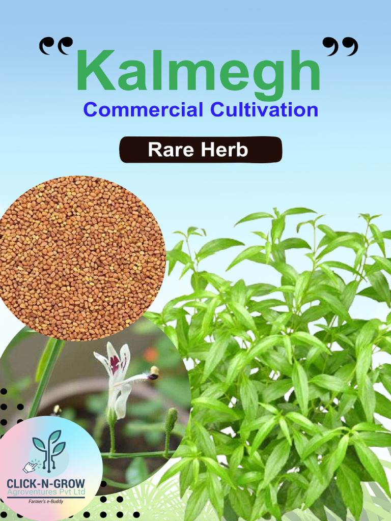 Kalmegh - English | PDF