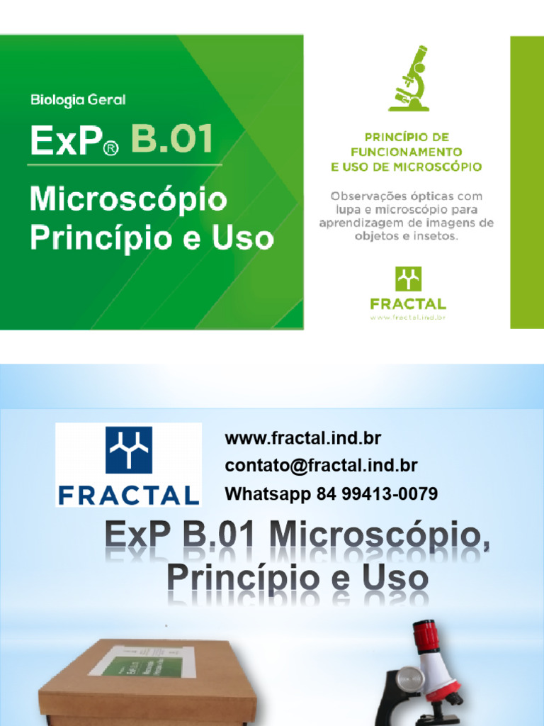 ExP B01 Microscópio, Princípio e Uso R1 | PDF | Ótica | Microscópio