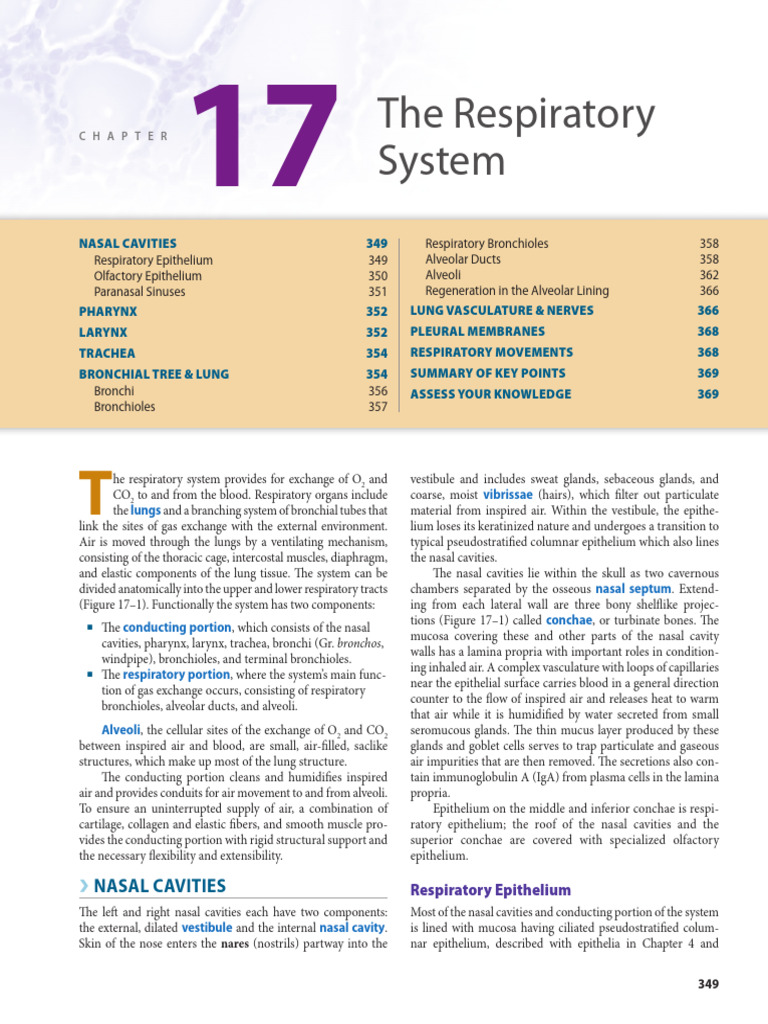 Junqueiras Basic Histology 15th Edition Pages 2 Pages 1 Compressed ...