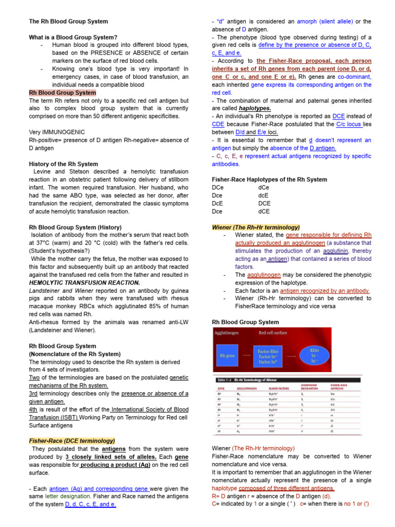 The RH Blood Group System | PDF | Blood Type | Hematology
