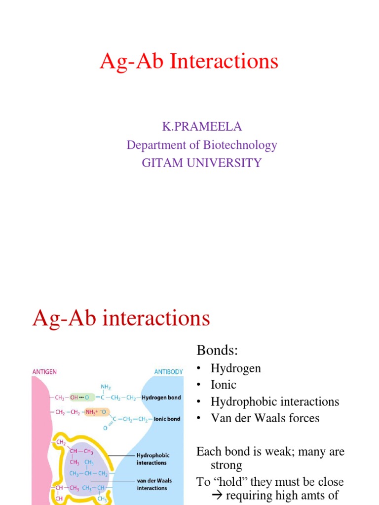 Ag-Ab Interactions: K.Prameela Department of Biotechnology Gitam University | PDF | Elisa ...
