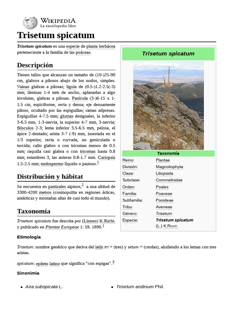 Trisetum Spicatum | PDF | Plantas | Césped