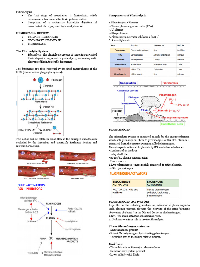 Fibrinolysis | PDF | Coagulation | Hemostasis