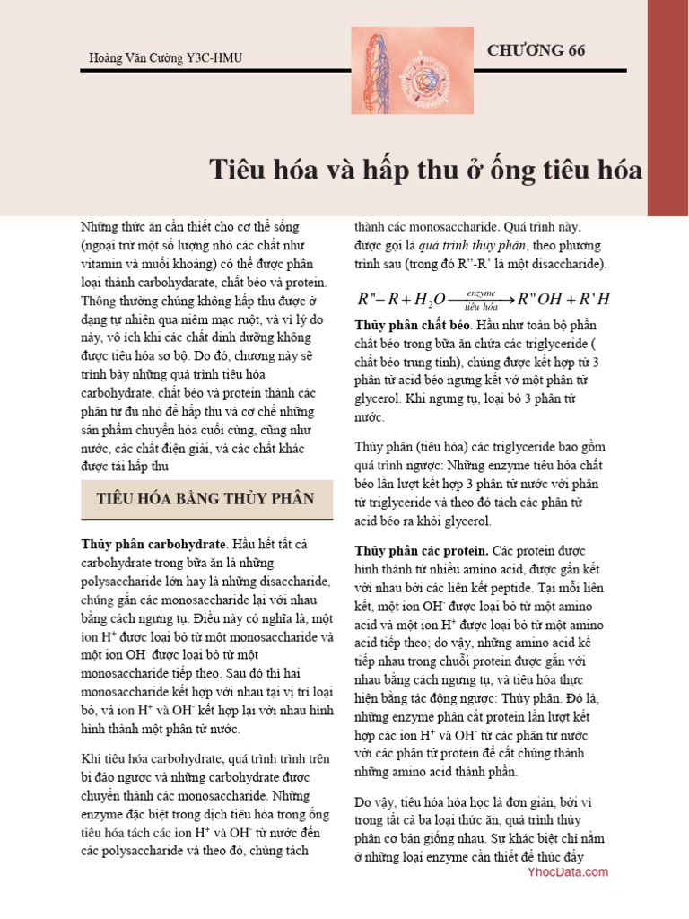 Tiêu hóa & hấp thu | PDF