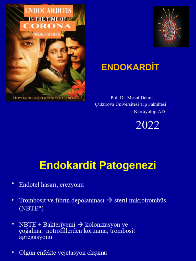 9 Endokardit | PDF
